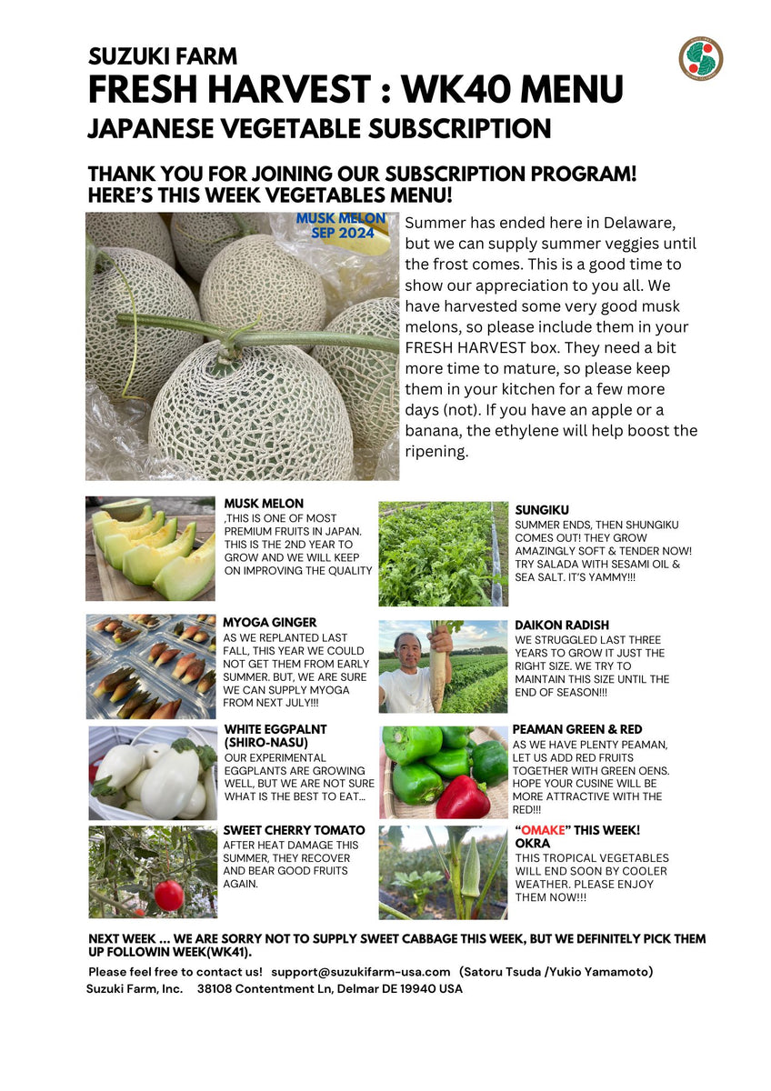 FRESH HARVEST Japanese Vegetable Subscription l Suzuki Farm l 7 item
