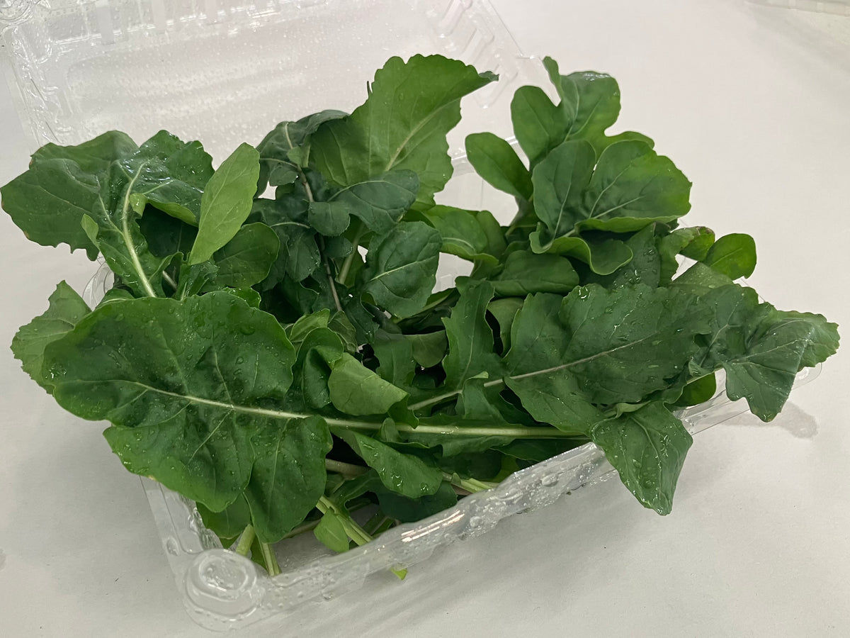 Arugula | Suzuki Farm | 0.15 lb