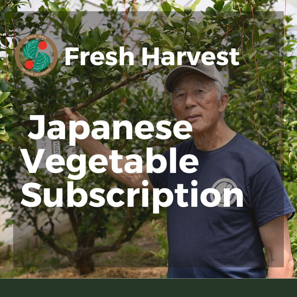 Suzuki Farm - Fresh Japanese Vegetables