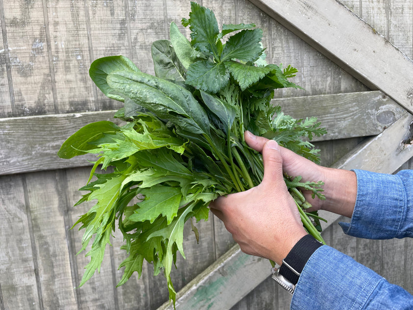 Suzuki Farm - Fresh Japanese Vegetables