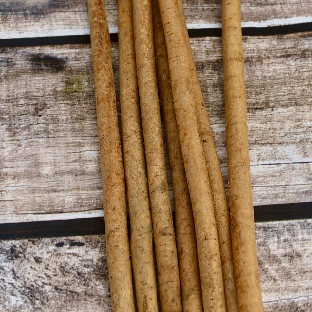 Gobo (Burdock Root) | From Our Suppliers | 1.0 lb – Suzuki Farm