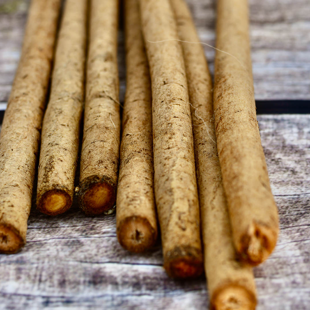 Gobo (Burdock Root) | From Our Suppliers | 1.0 lb – Suzuki Farm