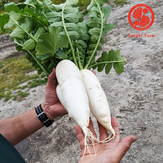 Veggie Guide – Suzuki Farm