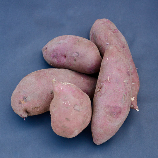 From Our Suppliers – Suzuki Farm